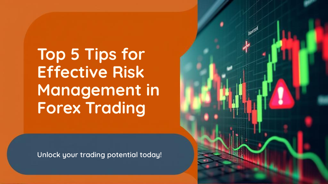 Top 5 Tips for Effective Risk Management in Forex Trading – FXLimit